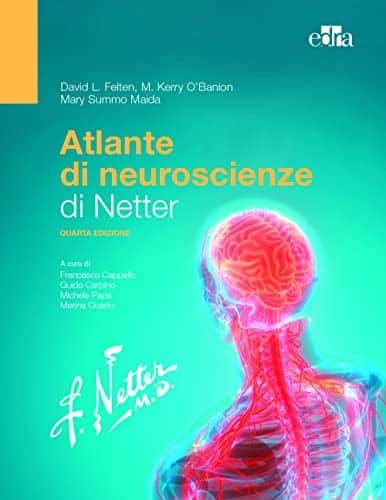 Atlante di neuroscienze di Netter di David L. Felten, M. Kerry O'Banion ...
